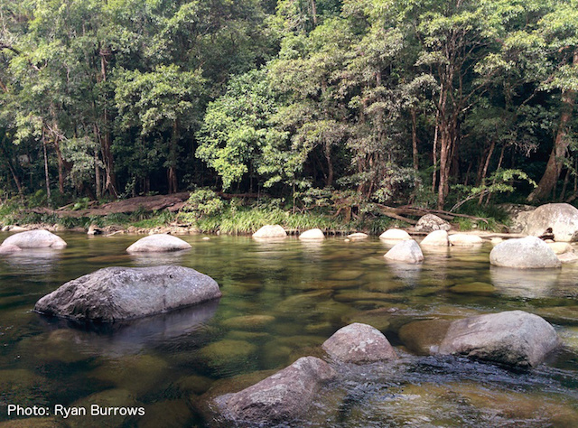New postdoc positions to build catchment resilience – Catchment to Coast