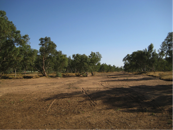 River drying explains biodiversity – Catchment to Coast