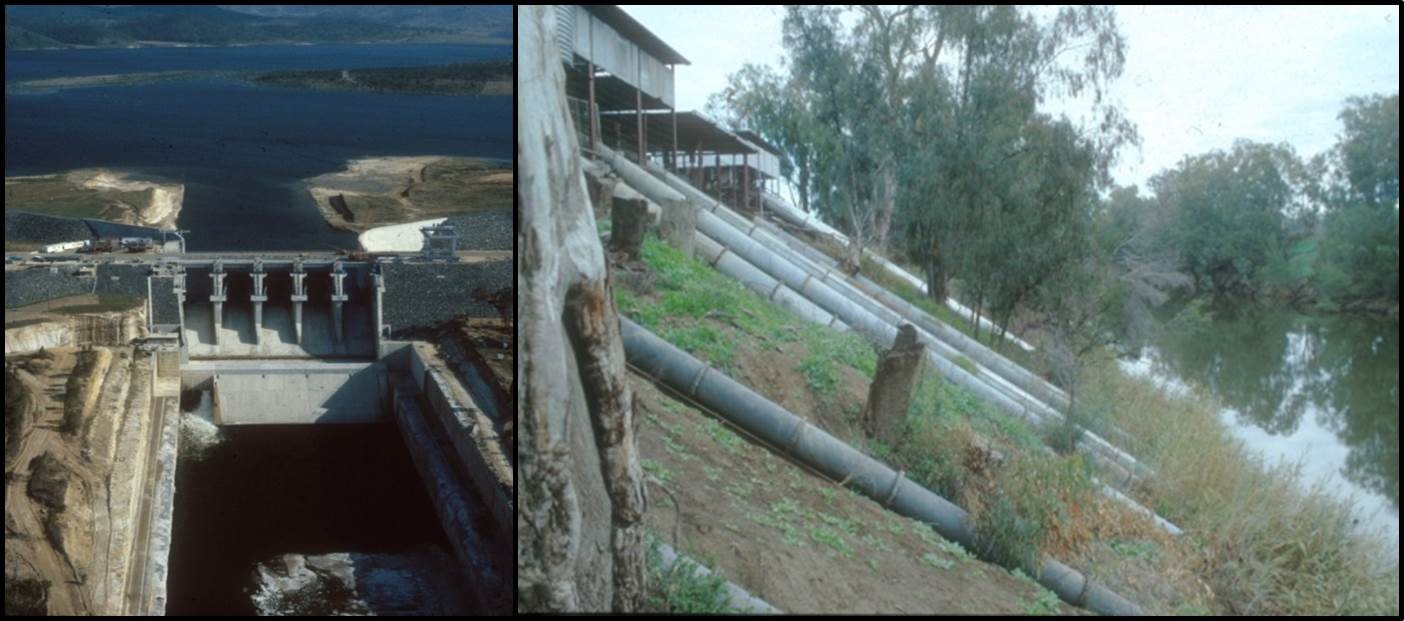 The Brisbane Declaration and Global Action Agenda on Environmental ...