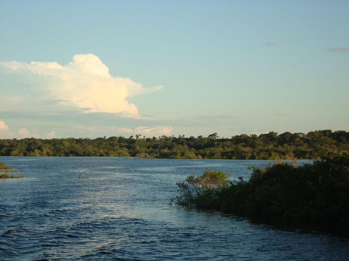 The Amazon is under threat, but our new study gives hope to improving ...