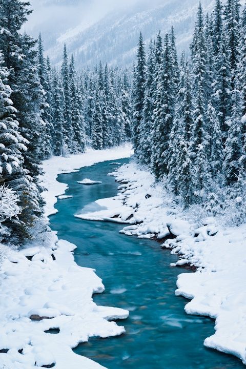 Assessing Deltas in Canada: We all live downstream – Catchment to Coast